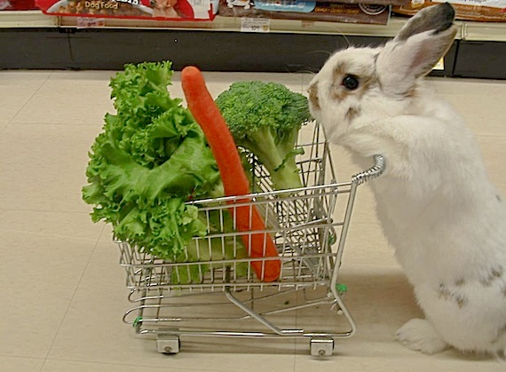 Some Bunny with a Shopping Cart … – Cup of Good